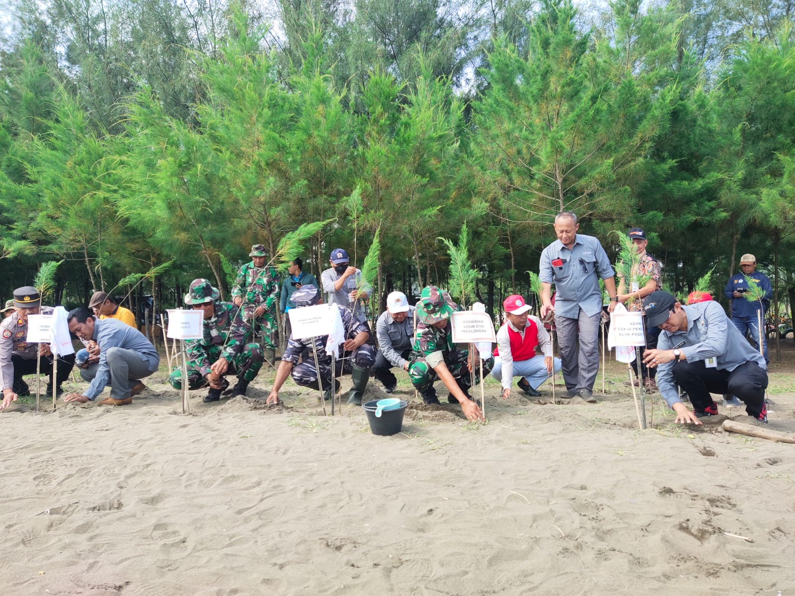 Hari Bakti Rimbawan Ke-40, CDK Wilayah IV Hijaukan Pantai Wonokerto untuk Stop Abrasi – Radar ...