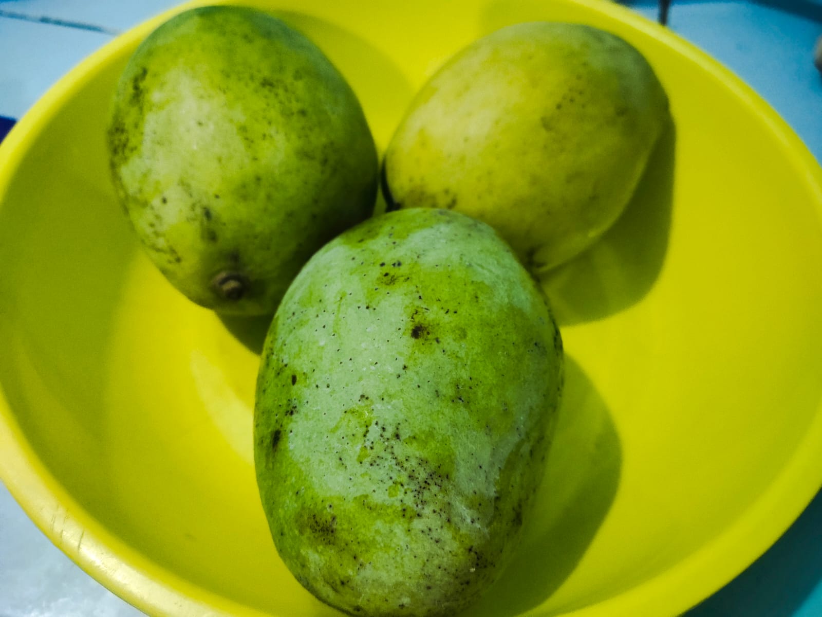 8 Manfaat Mangga untuk Kesehatan – Radar Pekalongan ID