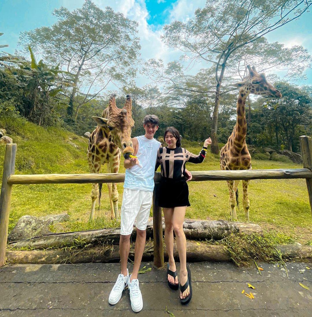 Seru Banget! Inilah 5 Taman Safari di Indonesia yang Wajib Kamu Kunjungi saat Liburan – Radar ...