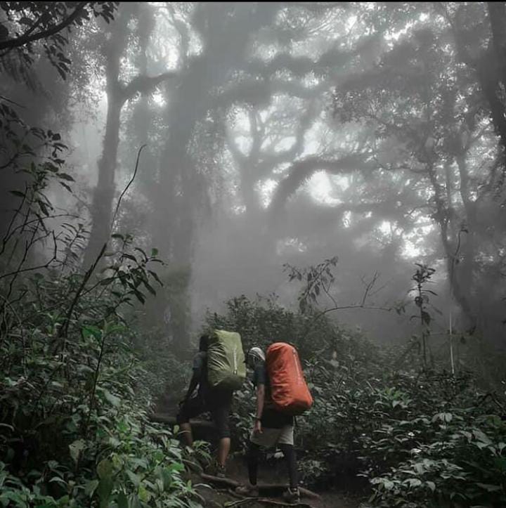 Tips Berwisata ke Curug Lojahan Kabupaten Batang, Berpetualang di Alam ...