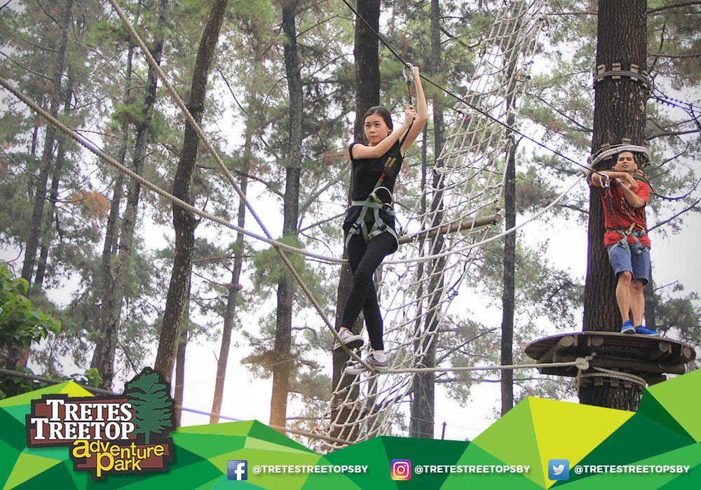 Wisata Viral dan Populer di Jawa Timur! 3 Daya Tarik dari Tretes Tree ...