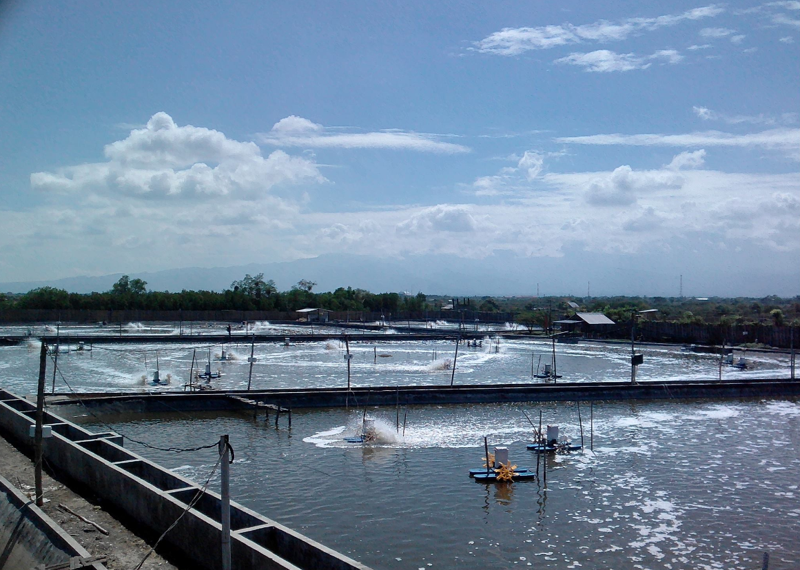 Mengungkapkan Teknologi Revolusioner! Bagaimana Inovasi Digital Membawa ...