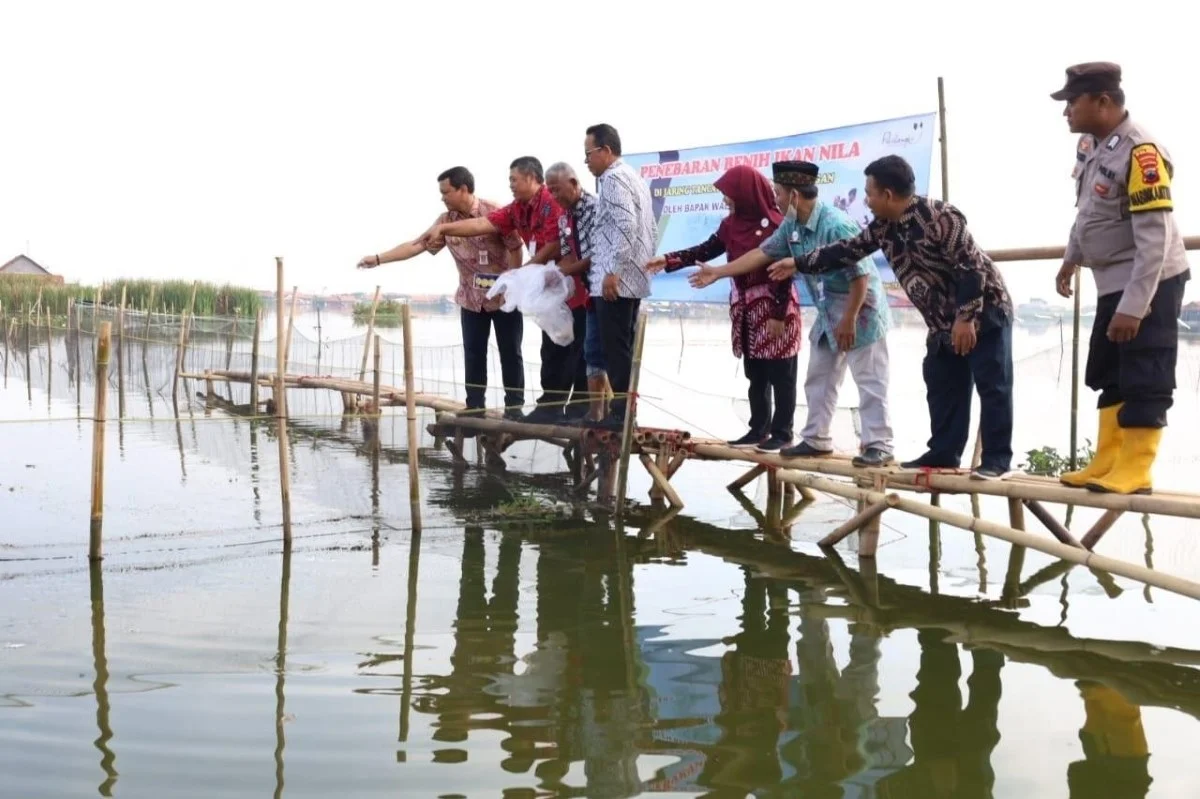 Pekalongan Revitalisasi 83 Hektare Tambak untuk Budidaya Ikan Nila ...