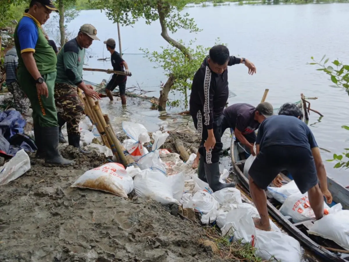 Rob Terjang Kendal, Tanggul Darurat dari Karung Pasir Dibangun Gotong Royong TNI-Polri dan Warga ...